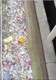 Fury as rubbish and trolleys build up in ‘sea of litter’ - PressReader