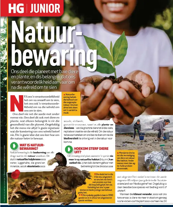 ’n Skatkis van leersame inhoud vir laerskooll­eerders! - PressReader