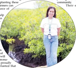 Champions of Phl mangrove forests - PressReader