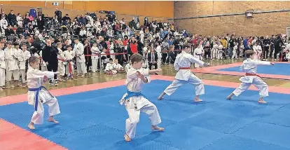 Karate kids finish on a high - PressReader