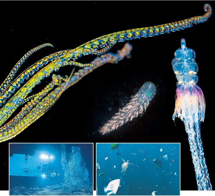 Deep secrets: Expert’s new book reveals extraordin­ary hidden worlds ...