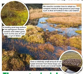 The peat principle - PressReader