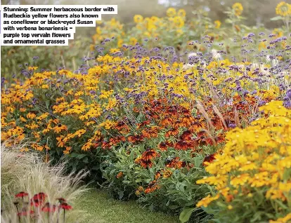 It’s the season to enjoy your garden, so here’s how to give it a boost ...