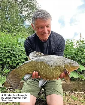 Tench are proving to be catch of the day on lakes - PressReader