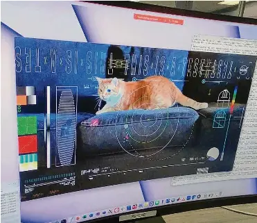 Laser technology zips cat video to Earth - PressReader