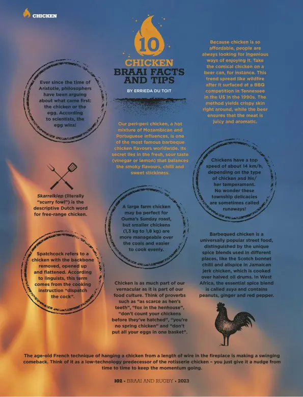 10 CHICKEN BRAAI FACTS AND TIPS - PressReader