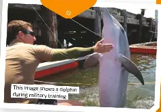 ANIMALS WITH JOBS - PressReader