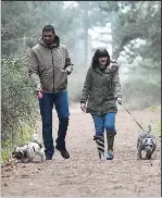 Forget a Christmas pub crawl – try these five great walks instead ...