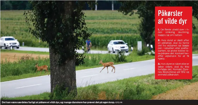SÅ OFTE GÅR DET GALT - PressReader