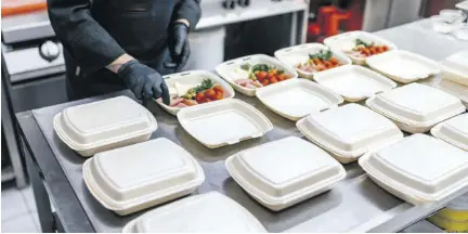 Plastic lunch boxes ban timeline stays put - PressReader