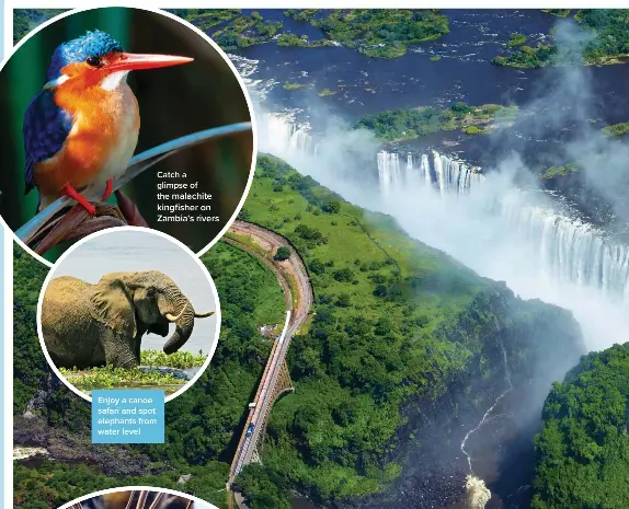 FALL FOR WILD ZAMBIA - PressReader