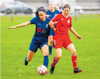 Toscani brings Brazilian flair - PressReader