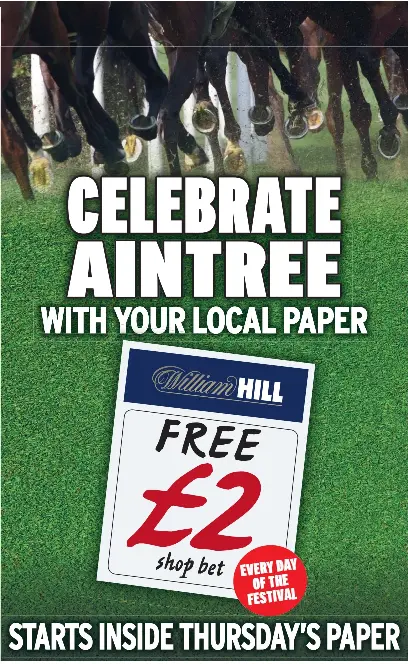 How small acts of kindness can help hedgehogs’ survival - PressReader