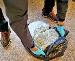 Mailas feine Nase erschnüffe­lt Drogen in großen Mengen - PressReader