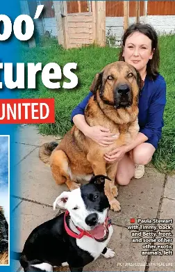 Woman’s talent ‘zoo’ has 40 exotic creatures - PressReader
