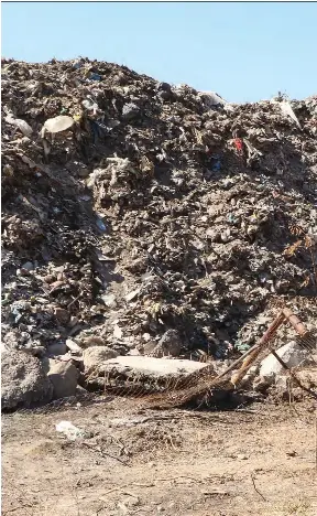 Turning waste into business - PressReader