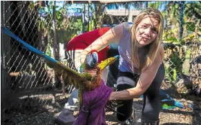 Rescuers flock together to save 275 parrots stranded by Ian - PressReader