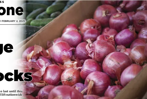 Business Harvest to salvage thin red onion stocks - PressReader