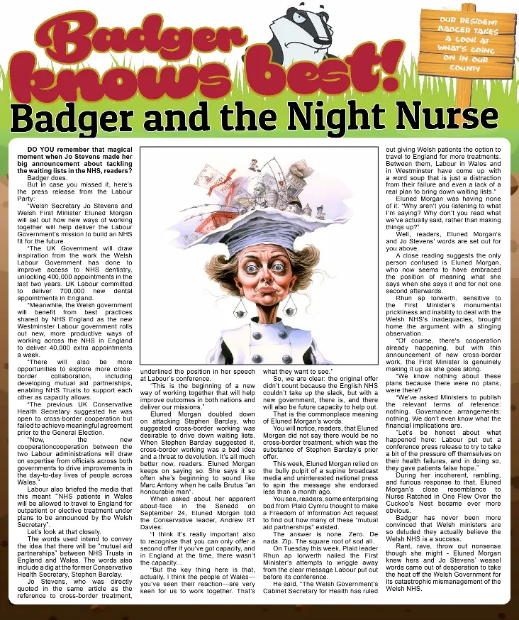 Badger and the Night Nurse - PressReader