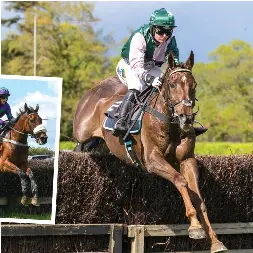 Andrews scores a hat-trick - PressReader