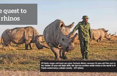 ‘We will save them’: The quest to rescue nearly extinct rhinos - PressReader