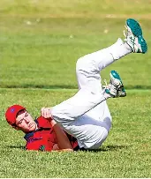 Cats carve Kangas - PressReader