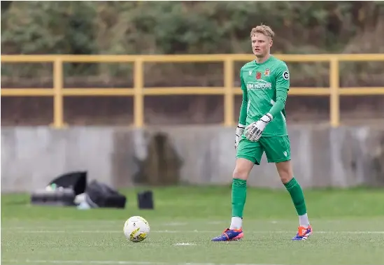 Haverfordw­est County announce first summer signing as Luc Rees joins ...
