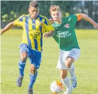 Rudan hails talents of new Phoenix arrivals - PressReader