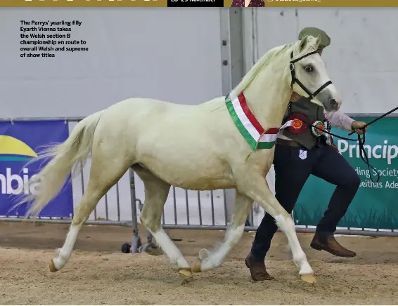 Showing Royal Welsh winter fair - PressReader