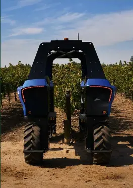 OPTIMUS VINE - PressReader