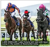 AIDAN SEEKS VICTORIA LAP - PressReader