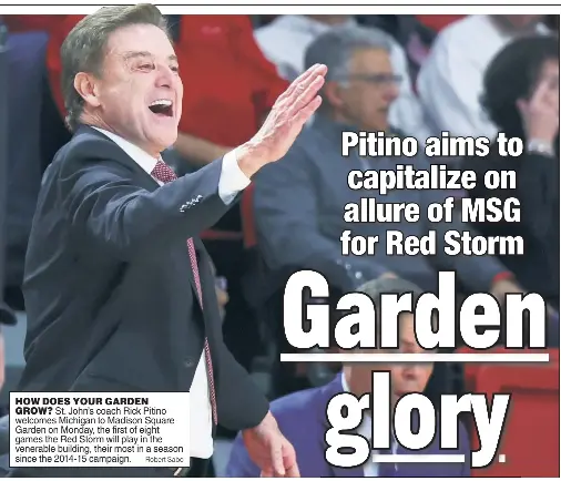 Garden glory - PressReader