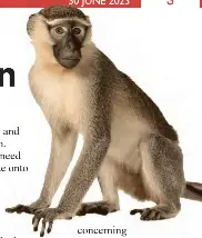 Monkey rehabilita­tion centre to relocate due to ongoing land invasion - PressReader