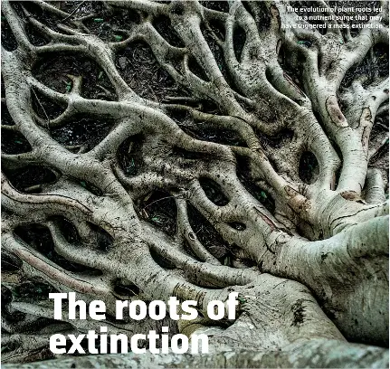The roots of extinction - PressReader