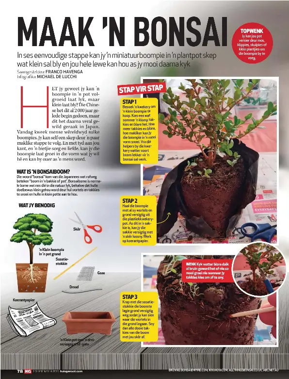 Maak jou eie bonsai - PressReader