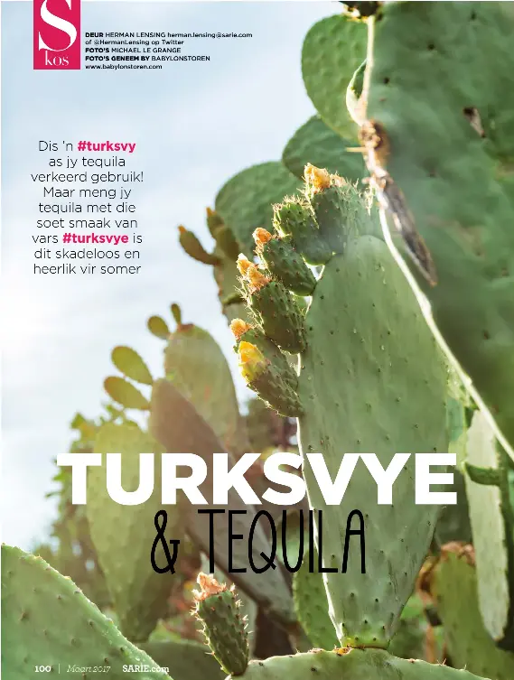 TURKSVYE & TEQUILA - PressReader