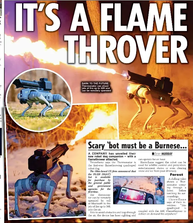 Mother duck and brood get an escort - PressReader