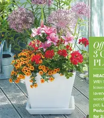 Create a colour splash - PressReader