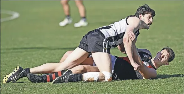 MAGPIES FLYING HIGH - PressReader