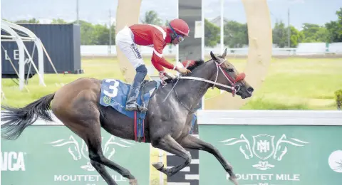 Fearless Force tough to beat - PressReader