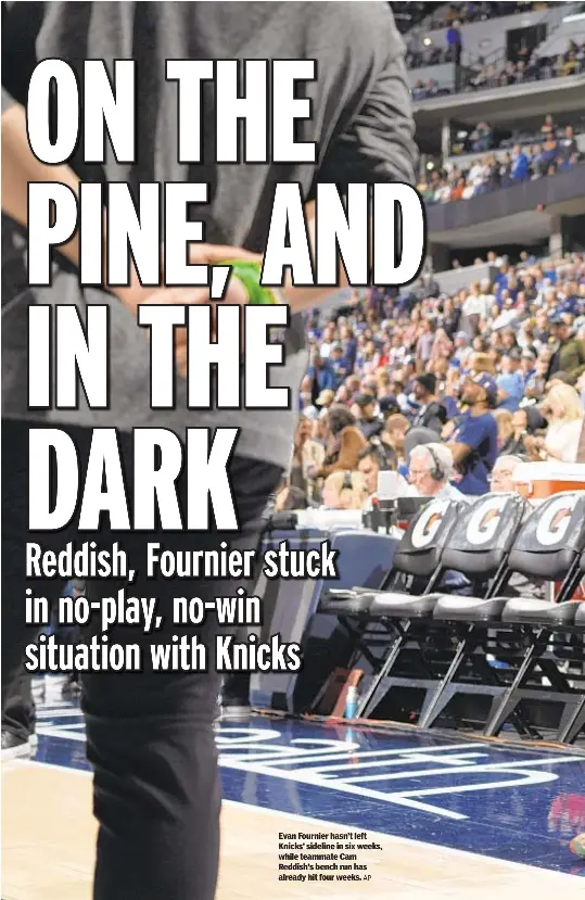 ON THE PINE, AND IN THE DARK - PressReader