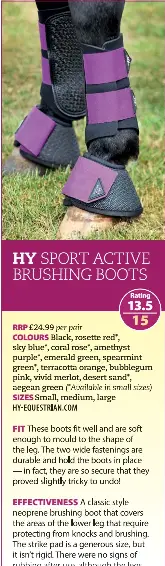 HY SPORT ACTIVE BRUSHING BOOTS - PressReader