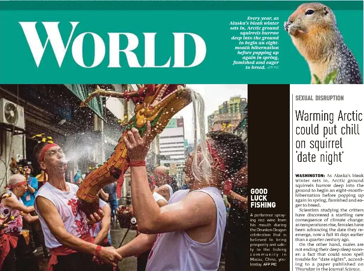 Warming Arctic could put chill on squirrel ‘date night’ - PressReader