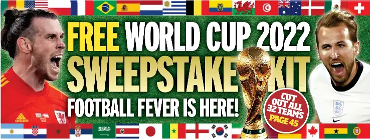 FREE WORLD CUP 2022 SWEEPSTAKE KIT - PressReader