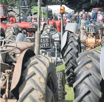 Tractor Fest pulls in 12,000 visitors - PressReader