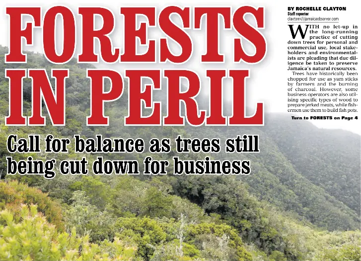 FORESTS IN PERIL - PressReader