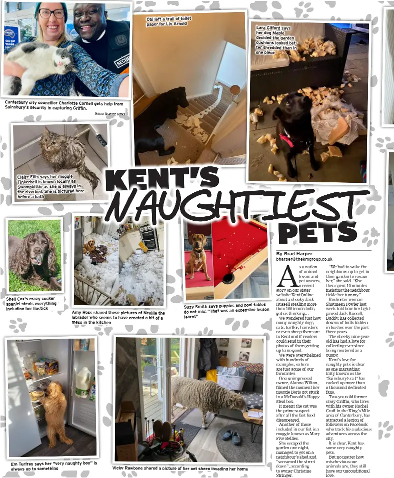 KENT’S PETS - PressReader