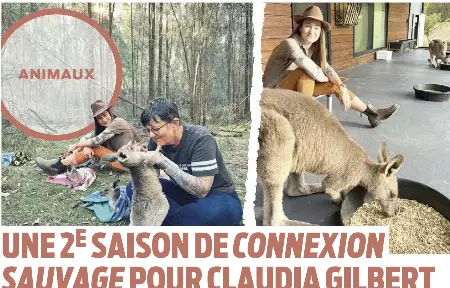 UNE 2E SAISON DE CONNEXION SAUVAGE POUR CLAUDIA GILBERT - PressReader