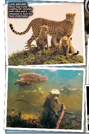 NATURAL BORN THRILLERS - PressReader