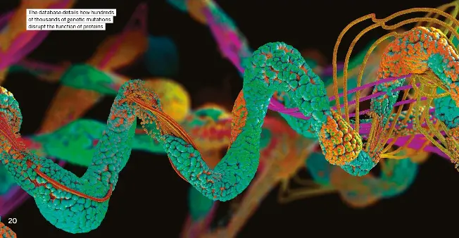 HEALTH A new database reveals how DNA mutations trigger genetic ...
